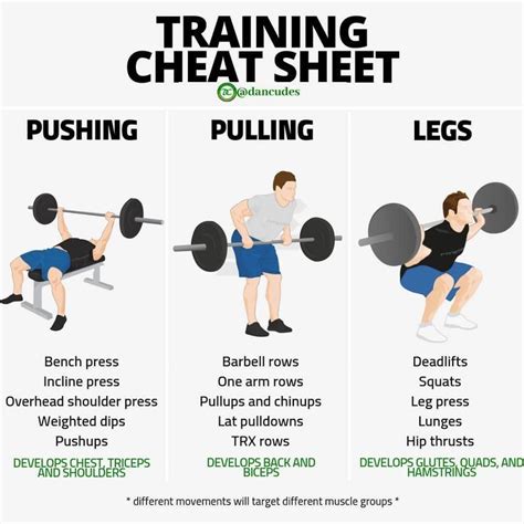 Push Pull Legs Weight Training Workout Schedule For 7 Days GymGuider