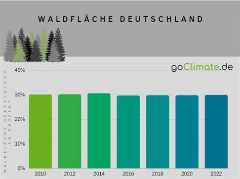Wald Statistiken Bäume Biomasse Holz Co GoClimate