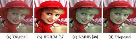 girl2 image enhancement of images using rohim [36] nmhe [37] download scientific diagram