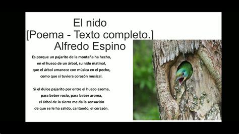 Analisis Del Poema El Nido De Alfredo Espino Sitedoct Org The Best