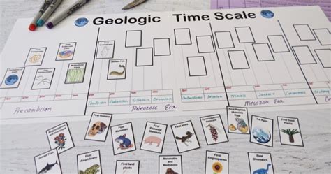 Amy Brown Science Evolution And The Geologic Time Scale Worksheets