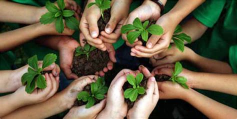 Dicas Para Voc Preservar O Meio Ambiente Col Gio Montessoriano
