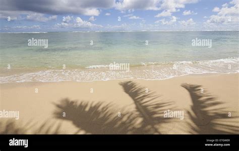 Kaaawa Beach Park Oahu Hawaii Shadow Stock Photo Alamy