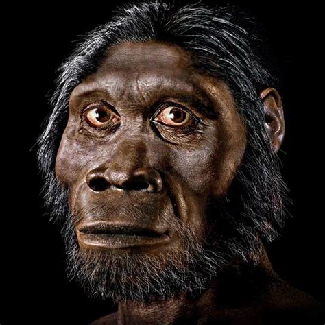 Ape PFP