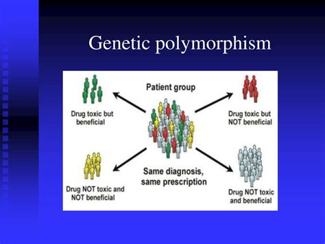 Ppt Drug Elimination Metabolism Excretion Powerpoint