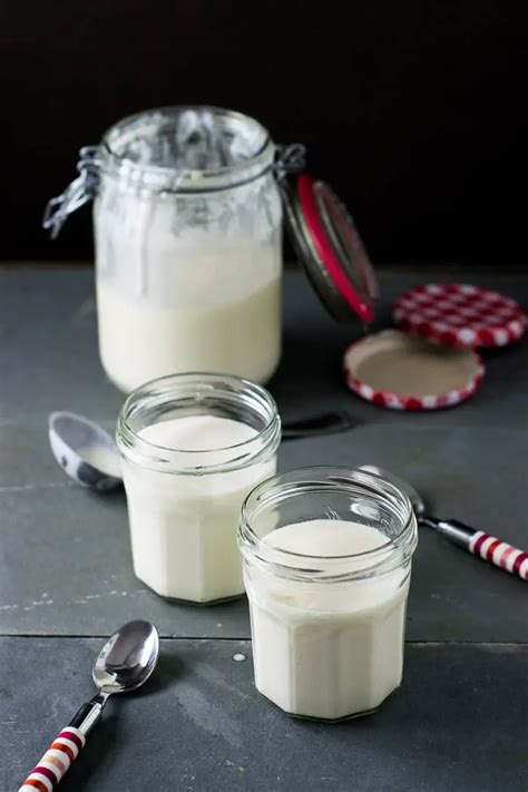 Receita de Iogurte Caseiro fácil e simples Malas e Panelas