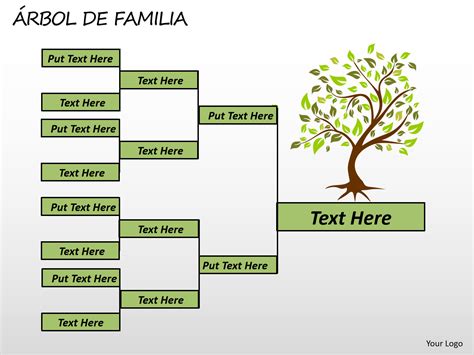 Esquema Del árbol Genealógico
