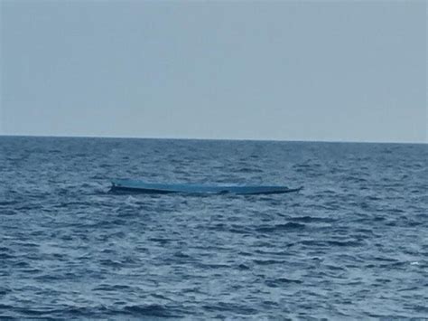 1 Dead 10 Missing In Shipwreck Off Tunisia General News Ansa It