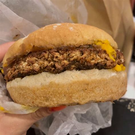 Brote Bernal Argentina Hamburguesa Vegan Medall N De Carne Vegetal