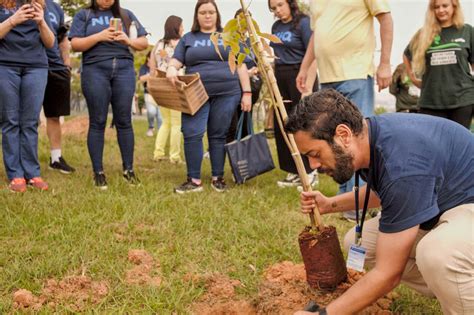 Dia da Árvore foi celebrado centenas de mudas nativas plantadas em