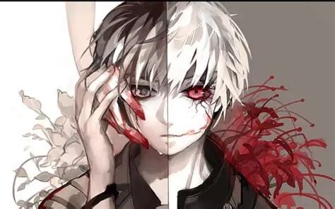 Op Mv Bilibili