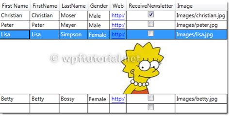wpf 入门教程 datagrid数据绑定 知乎