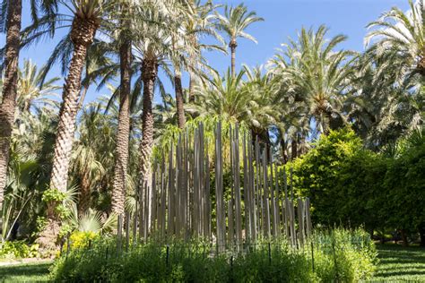 El Huerto Del Cura En Elche Una Joya De Belleza Y Tranquilidad
