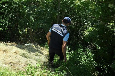 Disparition dÉmile une quinzaine denquêteurs mobilisée