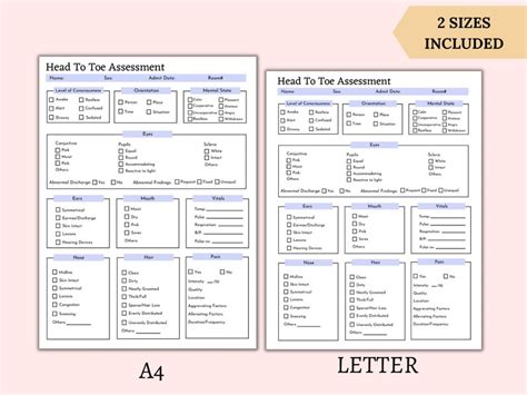 Head To Toe Assessment Template Nursing Checklist Nursing Student Notes