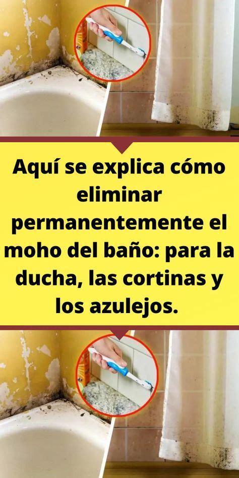 Aquí se explica cómo eliminar permanentemente el moho del baño para la