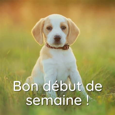 8 Images pour souhaiter une bonne semaine à tous Superbes Images