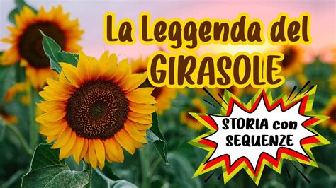 LA LEGGENDA DEL GIRASOLE Storia Illustrata Sequenze E