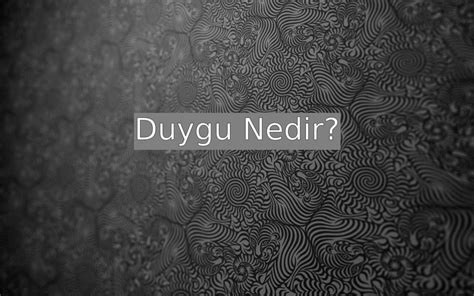 Duygu Nedir Ne Demek Zıt Anlamı Eş Anlamı