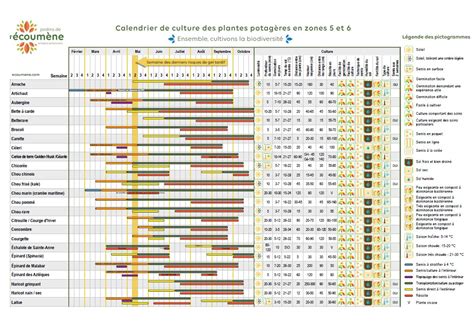 Télécharger le Calendrier des Semis en PDF Calendrier Lunaire