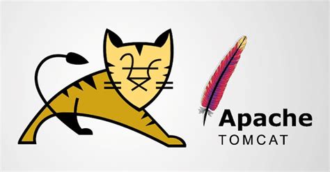 Top Best Cross Platform Web Servers Review Sg Blog