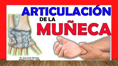 Movimiento Con fecha de invención articulacion de la muñeca tipo y