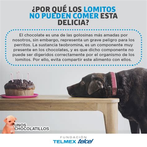 Fund Telmex Telcel On Twitter Cuidado Este Alimento No Es Ideal