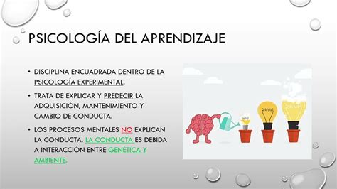Qué es la psicología del aprendizaje Vida Emocional