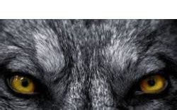 What Supernatural Are You Quiz Quotev