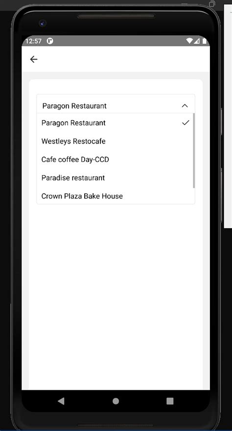 React Native Dropdown Picker Scroll Inside Another Scroll Is Not