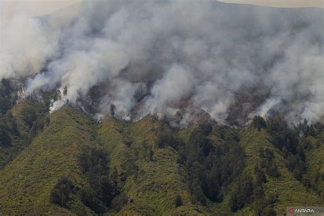 Tornado Api Muncul Di Kebakaran Gunung Bromo Begini Penjelasannya