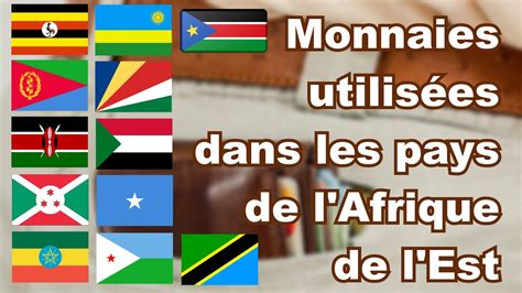 Les Monnaies Utilis Es Dans Les Pays De L Afrique De L Est En