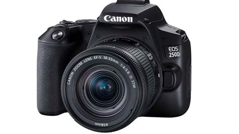 Le Migliori Fotocamere Reflex Economiche Per Principianti Wired Italia