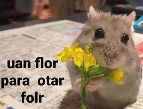 Por Qu Regalar Flores Amarillas El De Marzo Conoce Su Significado