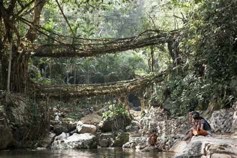 Places To Visit In Meghalaya For Nature Lovers Artofit
