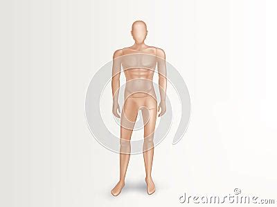 Vector 3d Male Mannequin Nude Plastic Dummy CartoonDealer 129901343