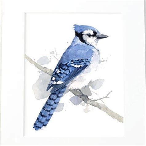 Chickadee Watercolor Painting Spring Bird Print Backyard Birdwatcher
