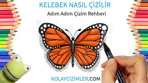Kelebek Nasıl Çizilir Adım Adım KolayCizimler