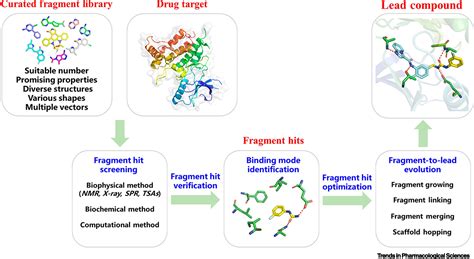 Fragment Based Drug Design Facilitates Selective Kinase Inhibitor