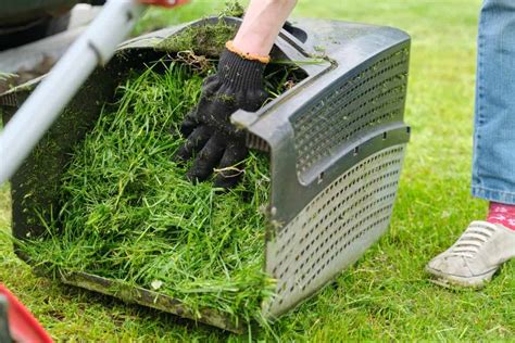 How To Make Grass Clippings Compost Fertilizer Homemade Recipe Diy