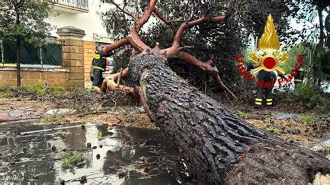 Tornado E Forte Vento In Puglia 1768 Episodi In 12 Mesi