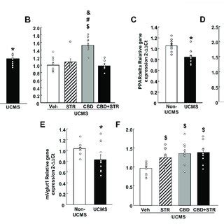 Relative Gene Expression Of Brain Derived Neurotrophic Factor BDNF