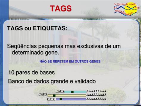 Ppt Serial Analysis Of Gene Expression Sage Powerpoint Presentation