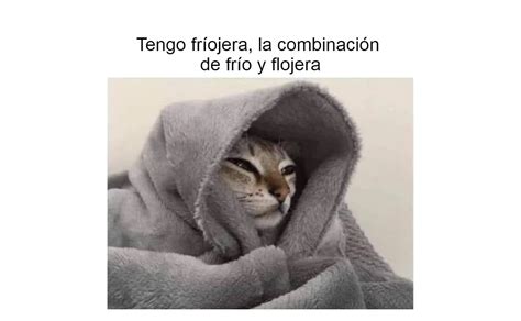 Los Mejores Memes Sobre El Temporal De Fr O