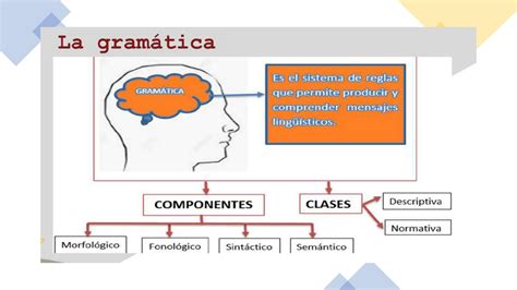 SOLUTION Fonolog A Y Fon Tica Studypool