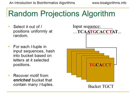 introduction to bioinformatics algorithms randomized algorithms and motif finding ppt download