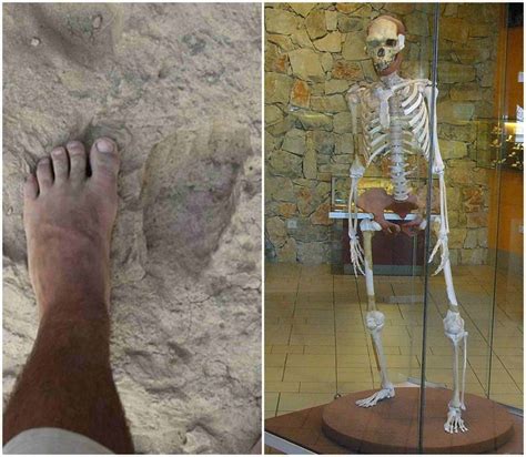 Analysis Of 1 5 Million Year Old Footprint Suggest The Homo Erectus