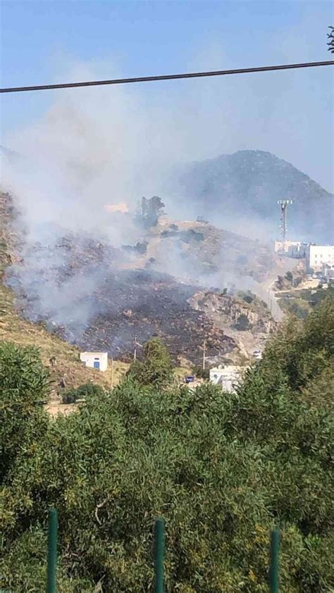 Bodrumda otluk ve makilik alanda yangın
