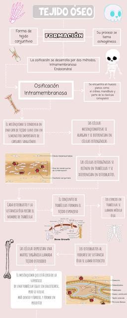 Tejido Seo Dayaluan Udocz