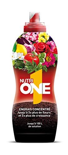Qu Son Los Abonos Verdes Ecol Gico